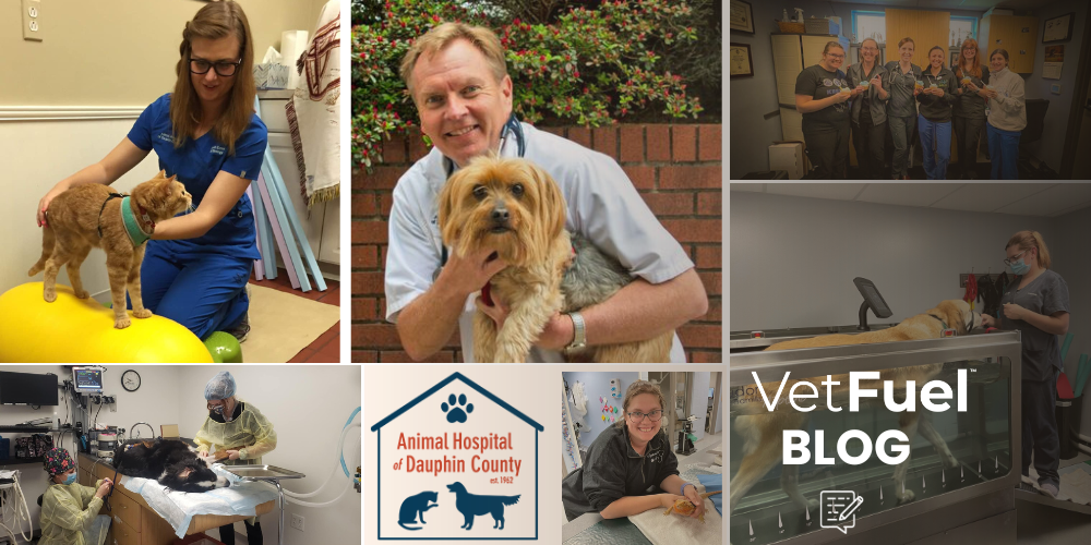 My Journey from Traditional Ownership to Becoming the First ...