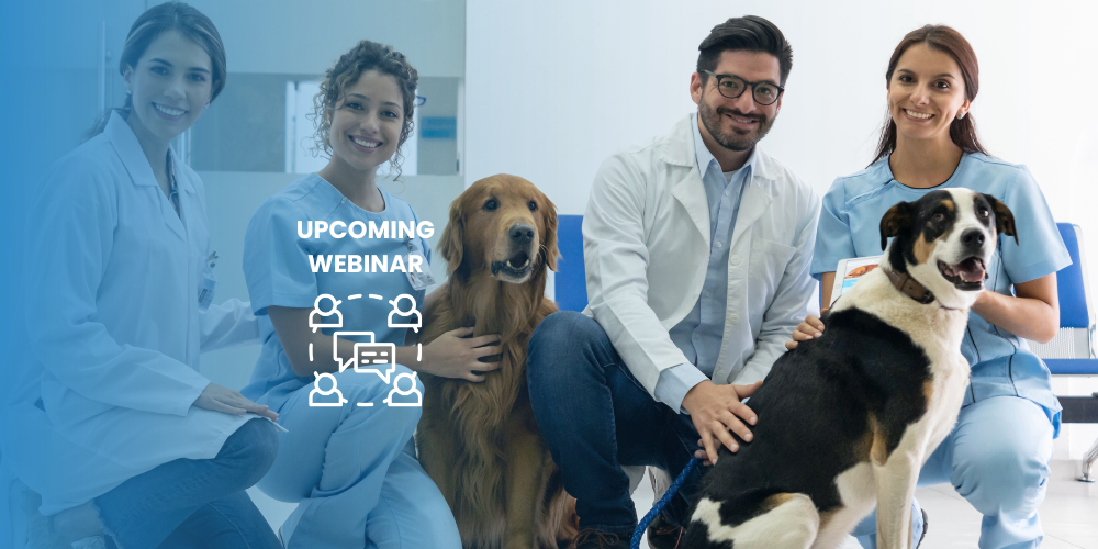 The Power of Partnership: CVP Doctor Success Stories 4/18/24 (new date)