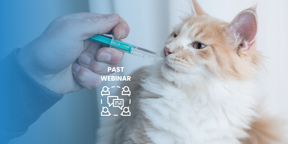 Caring for the Diabetic Cat - What's New?